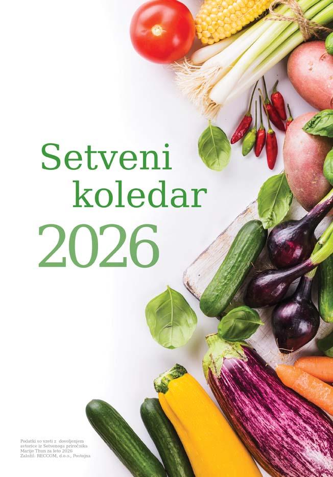 Setveni koledar Teodor*23×33 cm* | I.D.E.A.